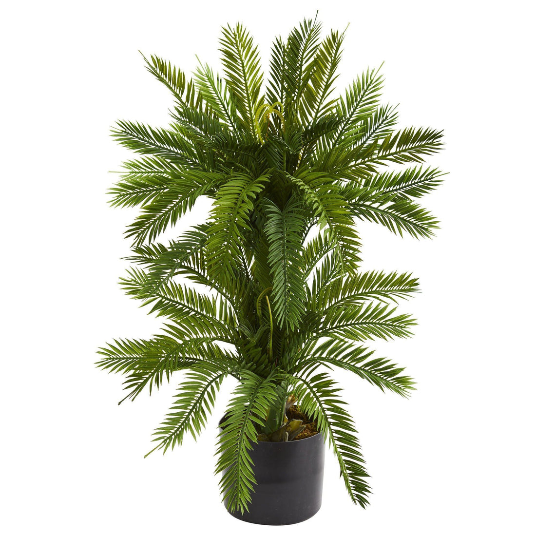 Double Cycas Artificial Plant | Nearly Natural