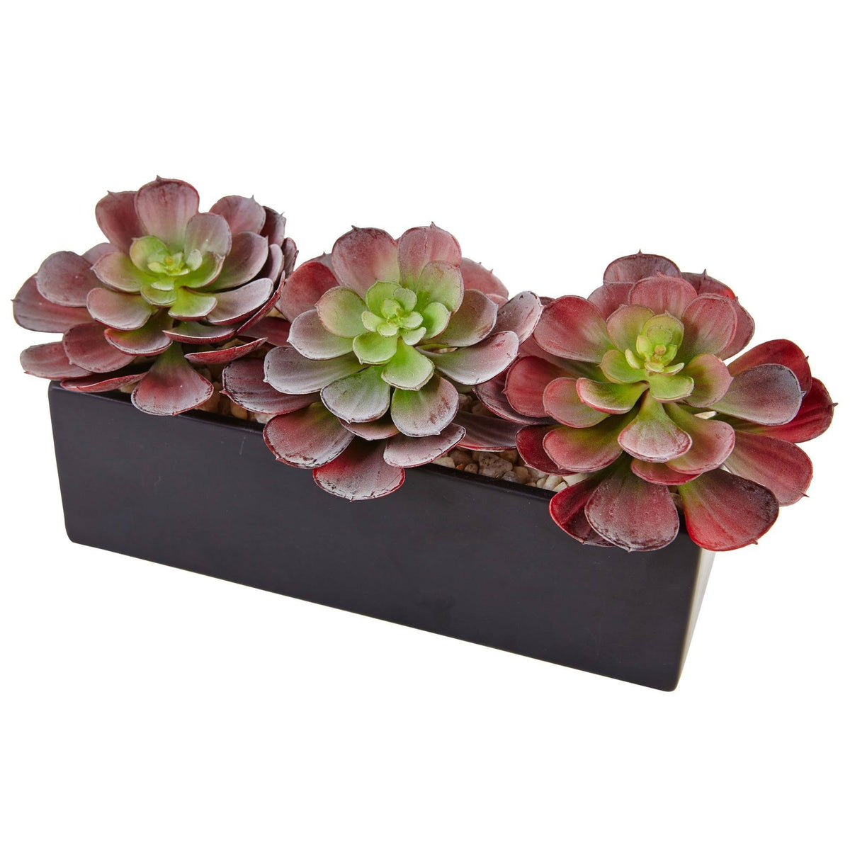 Echeveria Succulent in Rectangular Planter | Nearly Natural