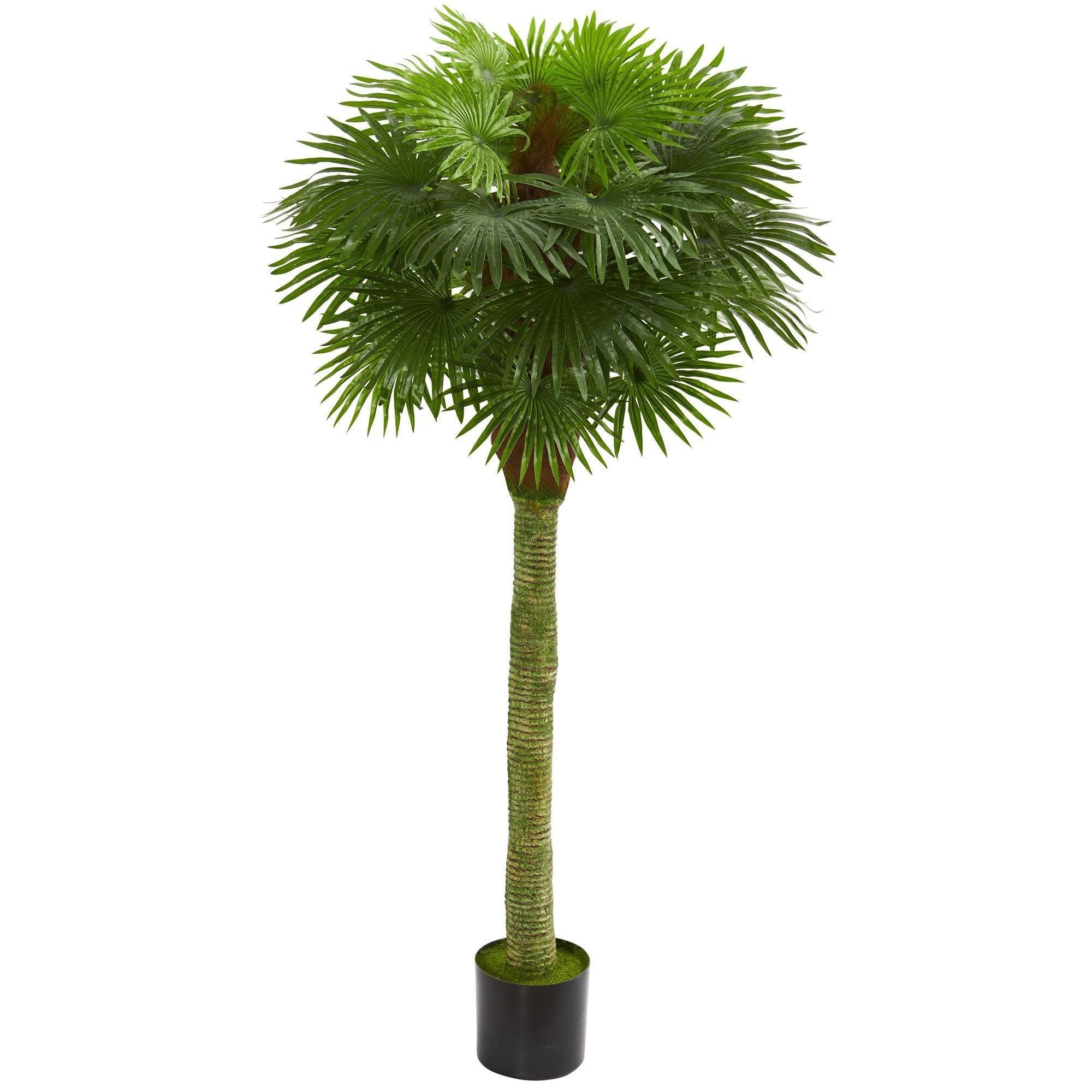 Fan Palm Artificial Tree UV Resistant (Indoor/Outdoor) | Nearly Natural