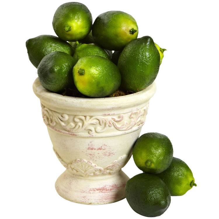 Faux Limes (Set of 12) | Nearly Natural
