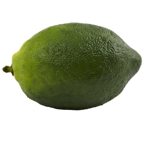 Faux Limes (Set of 12) | Nearly Natural