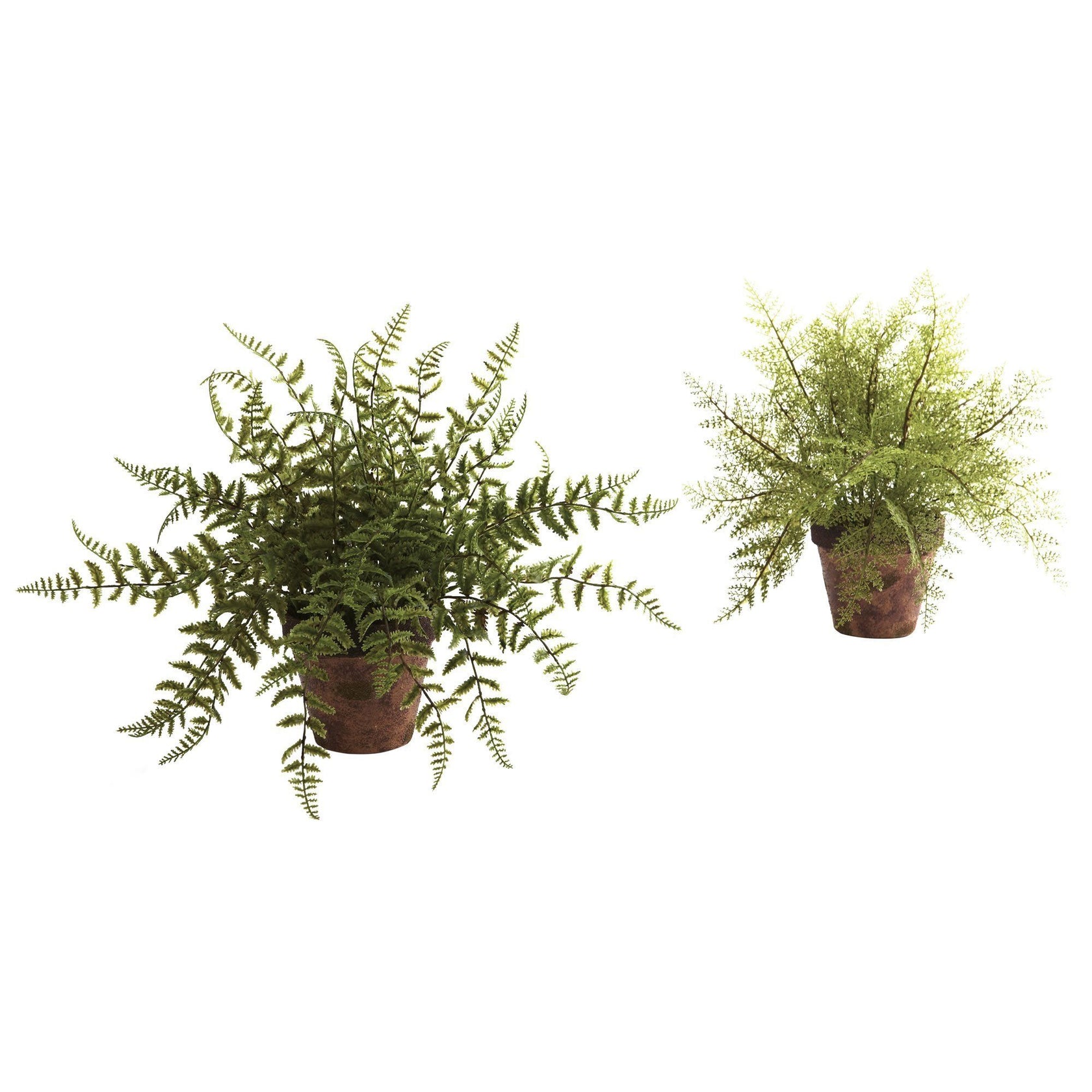 Fern w/Decorative Planter (Set of 2) | Nearly Natural