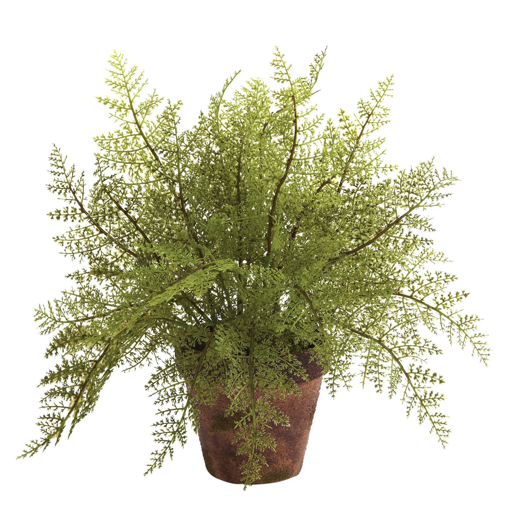 Fern w/Decorative Planter (Set of 2) | Nearly Natural