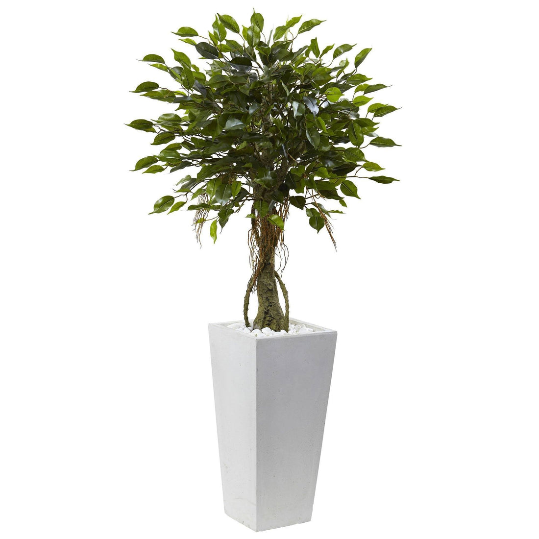 Ficus Tree with White Planter UV Resistant (Indoor/Outdoor) | Nearly ...