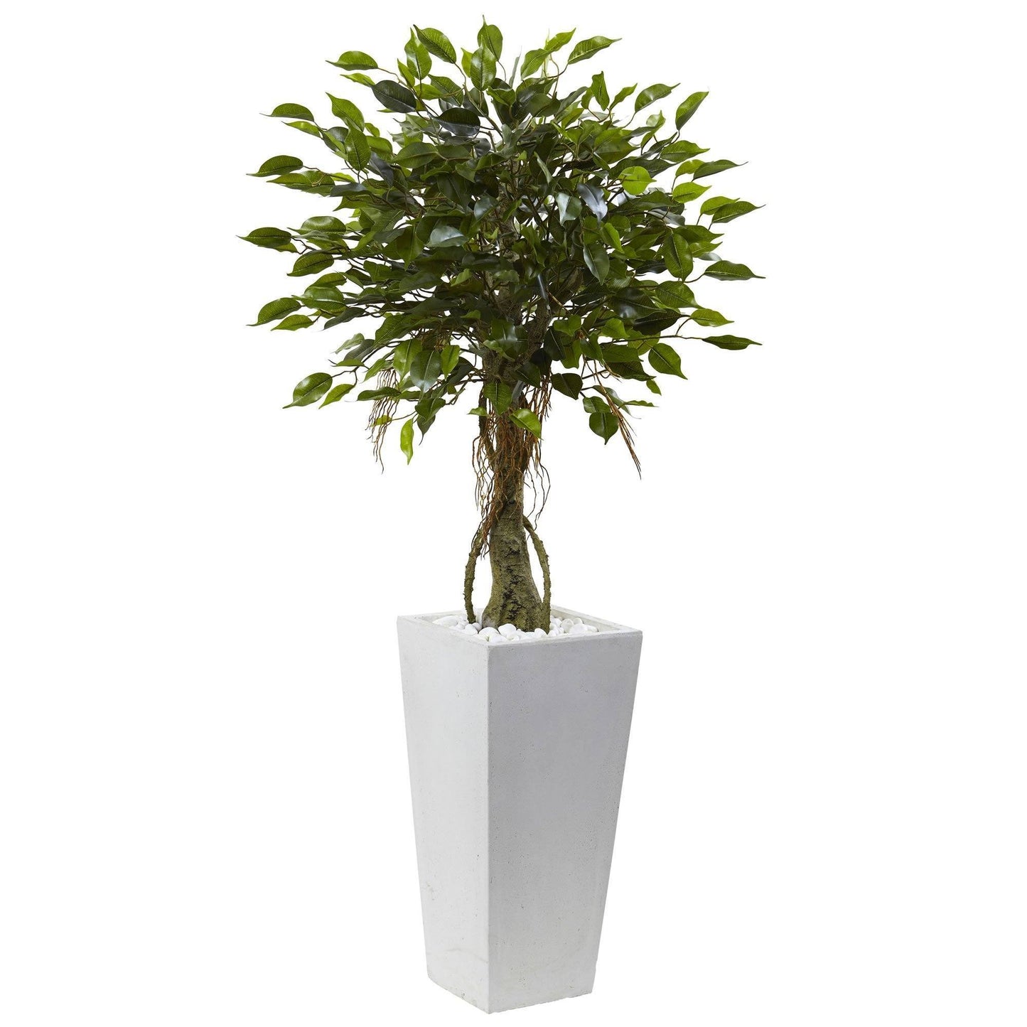 Ficus Tree with White Planter UV Resistant (Indoor/Outdoor) | Nearly ...