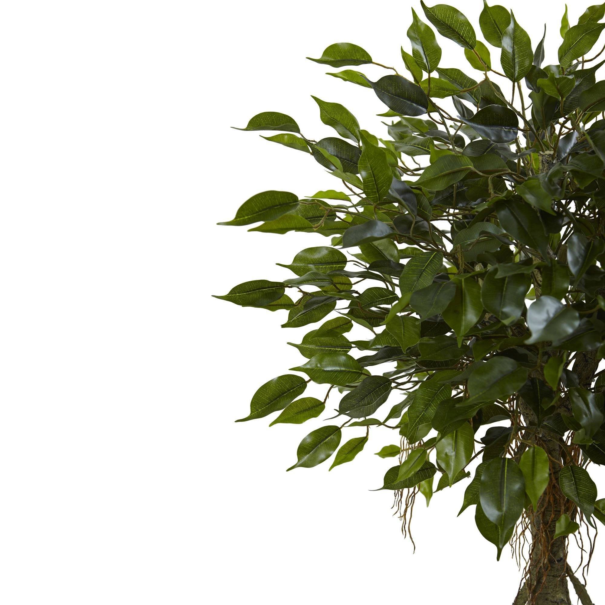 Ficus Tree with White Planter UV Resistant (Indoor/Outdoor) | Nearly ...