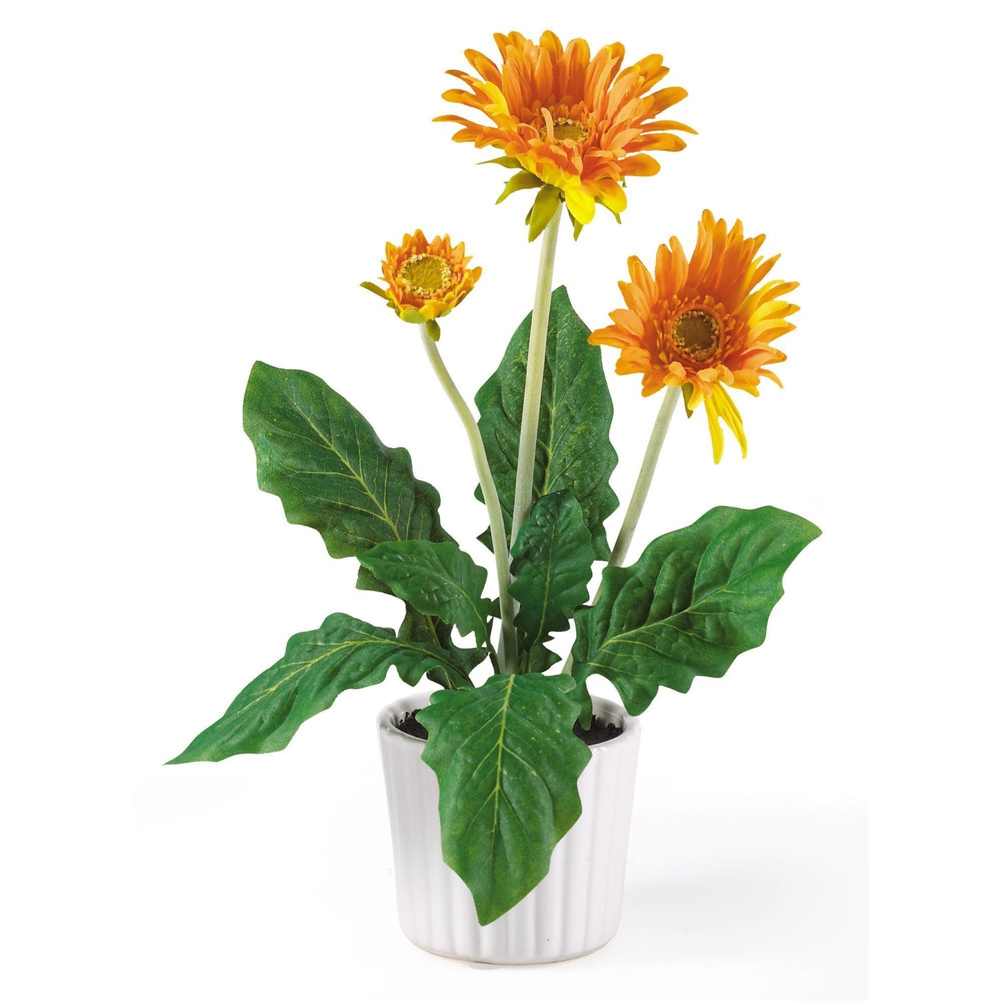 Gerber Daisy w/White Vase (Set of 6) | Nearly Natural