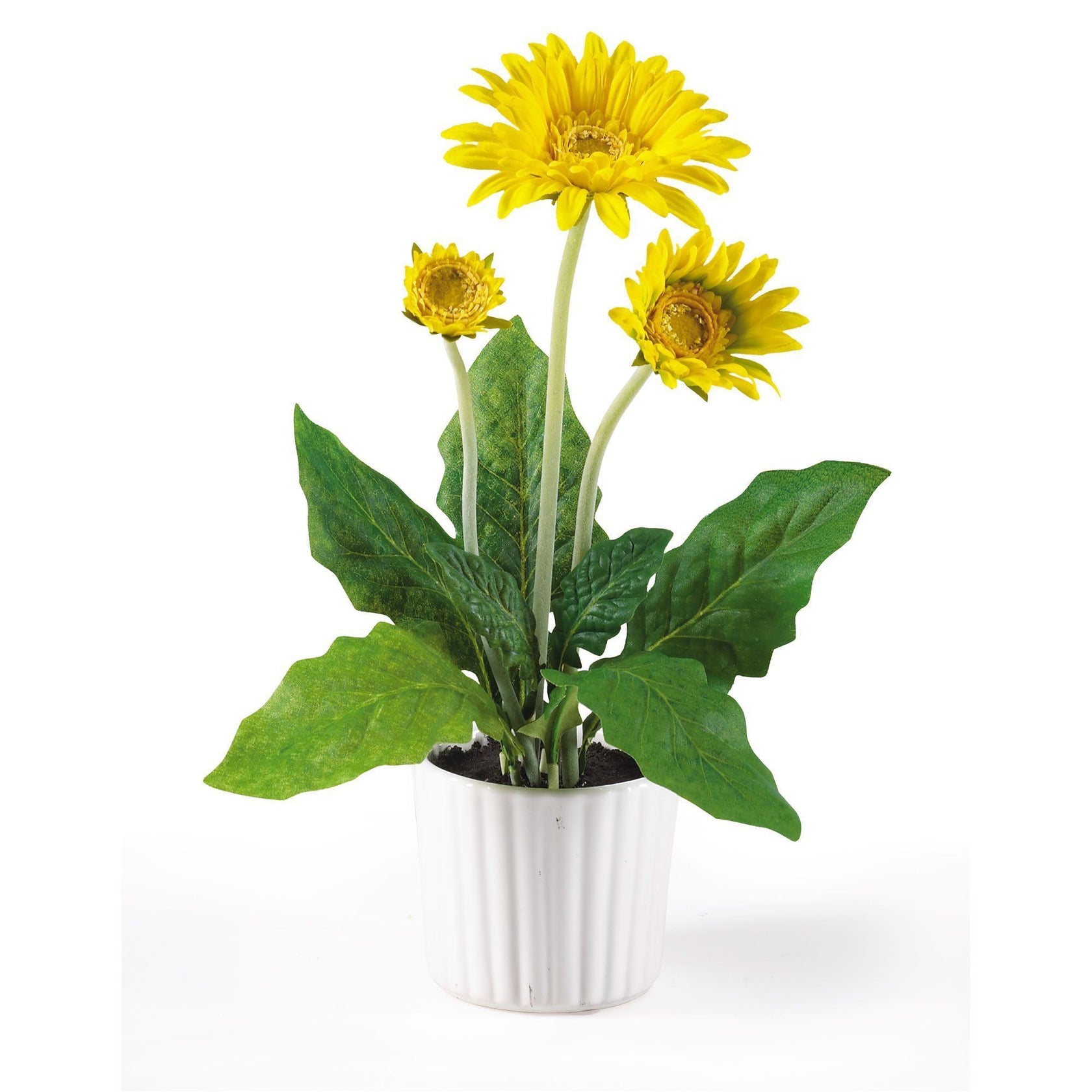Gerber Daisy w/White Vase (Set of 6) | Nearly Natural