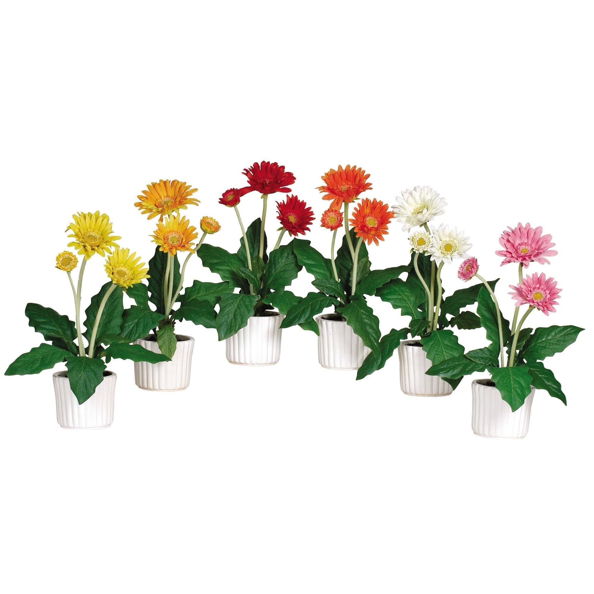 Gerber Daisy w/White Vase (Set of 6) | Nearly Natural