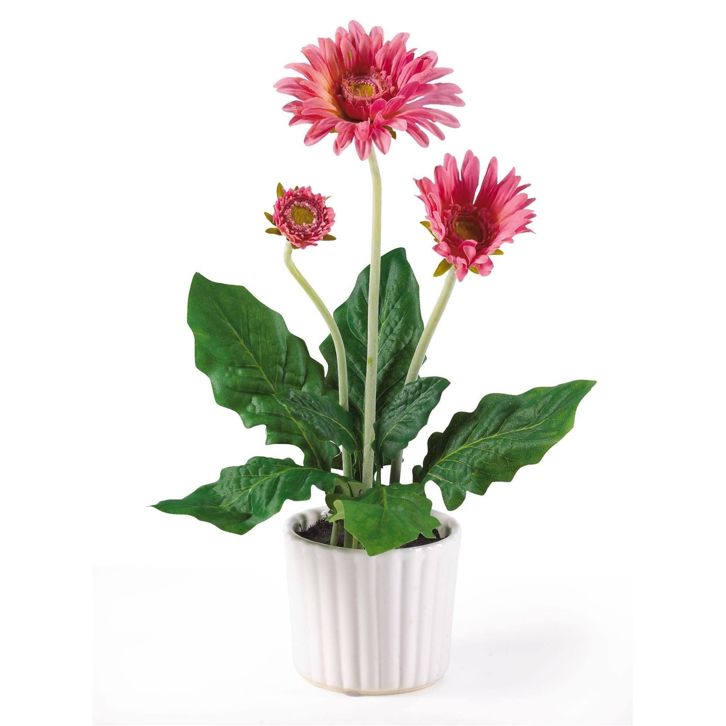 Gerber Daisy w/White Vase (Set of 6) | Nearly Natural