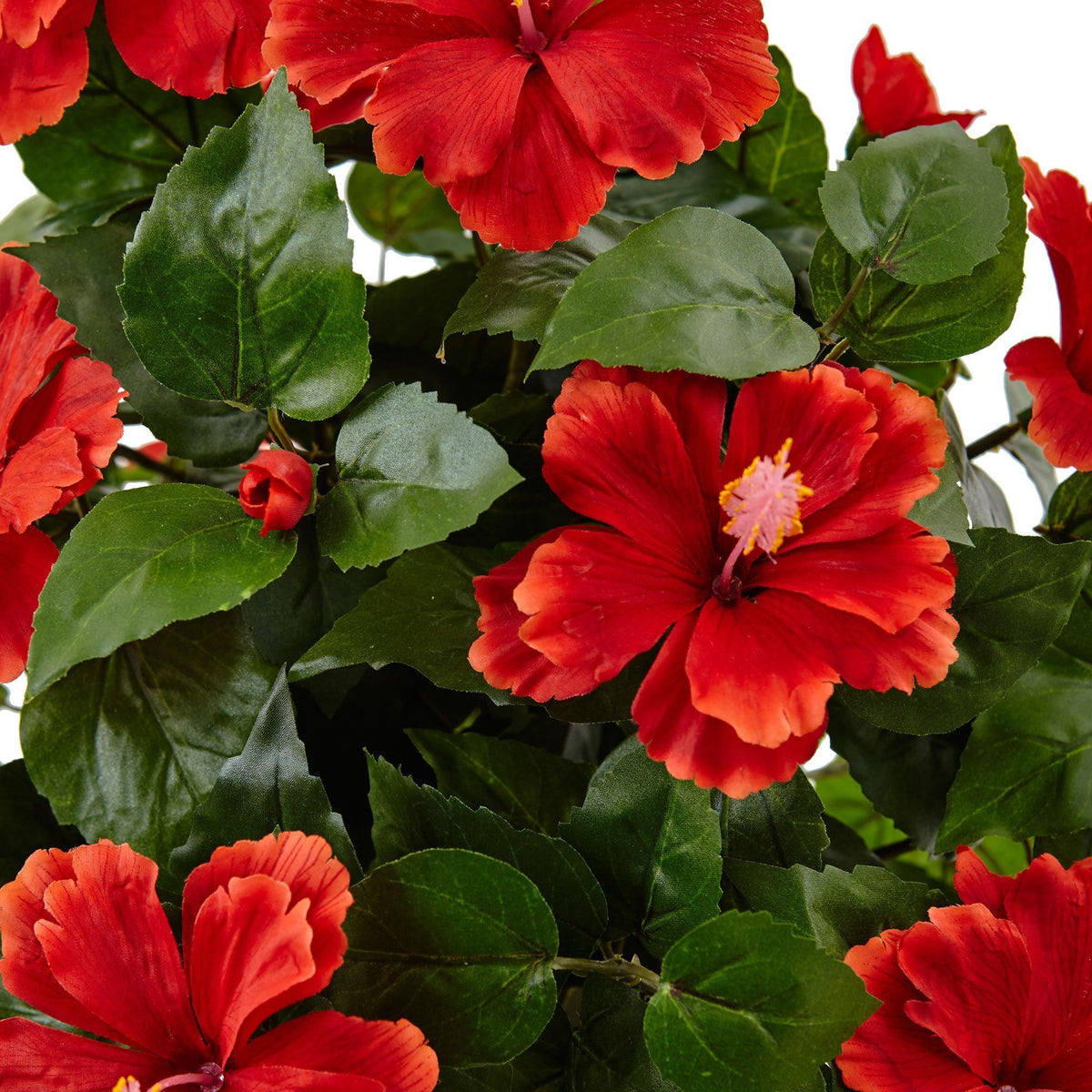Silk Hibiscus Plants | Fake Hibiscus | Nearly Natural