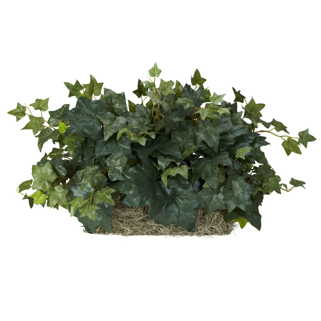 Ivy Set on Foam Sheet Silk Plant | Nearly Natural