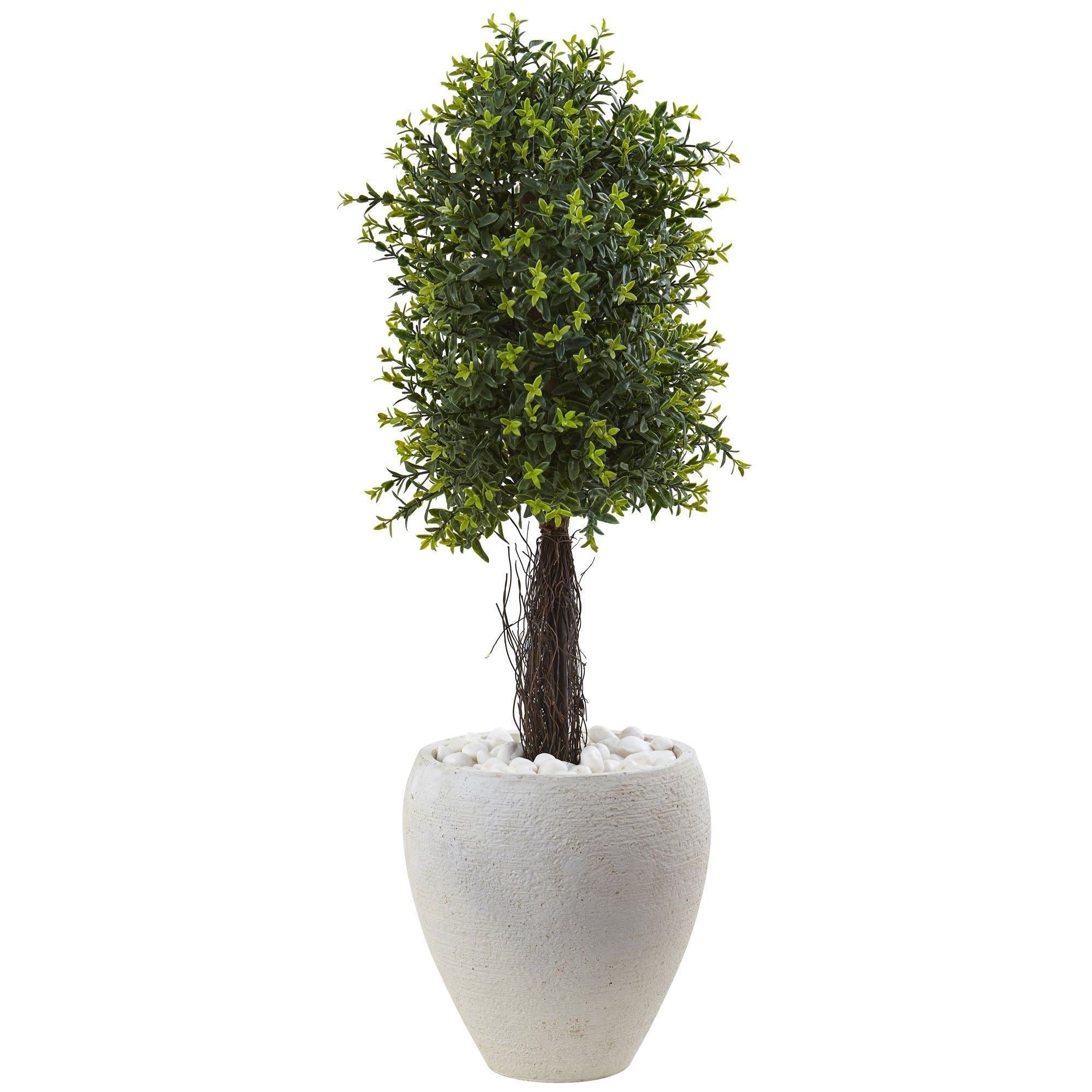 Ixora Topiary with White Planter UV Resistant (Indoor/Outdoor) | Nearly ...