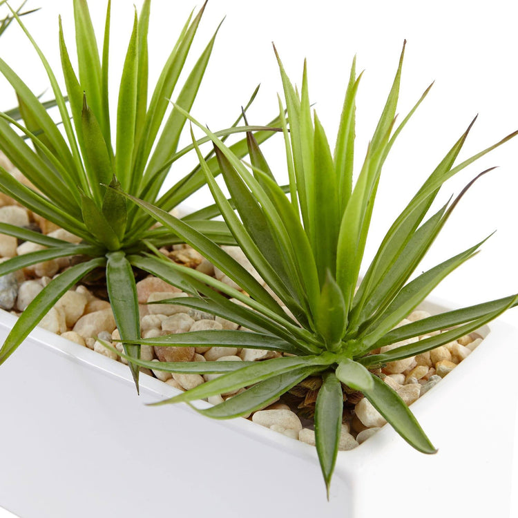 Mini Agave in Rectangular Ceramic | Nearly Natural