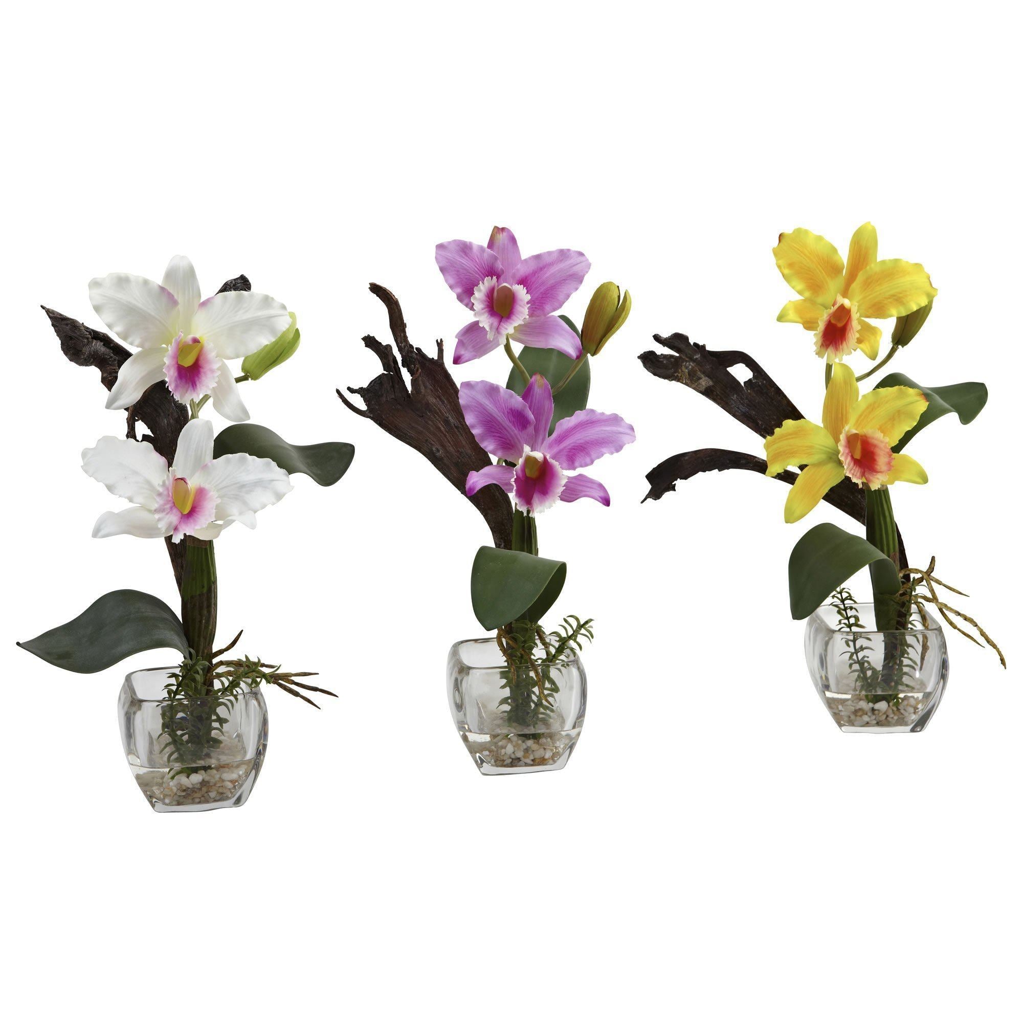 Mini Cattleya Orchid Arrangement (Set of 3) | Nearly Natural