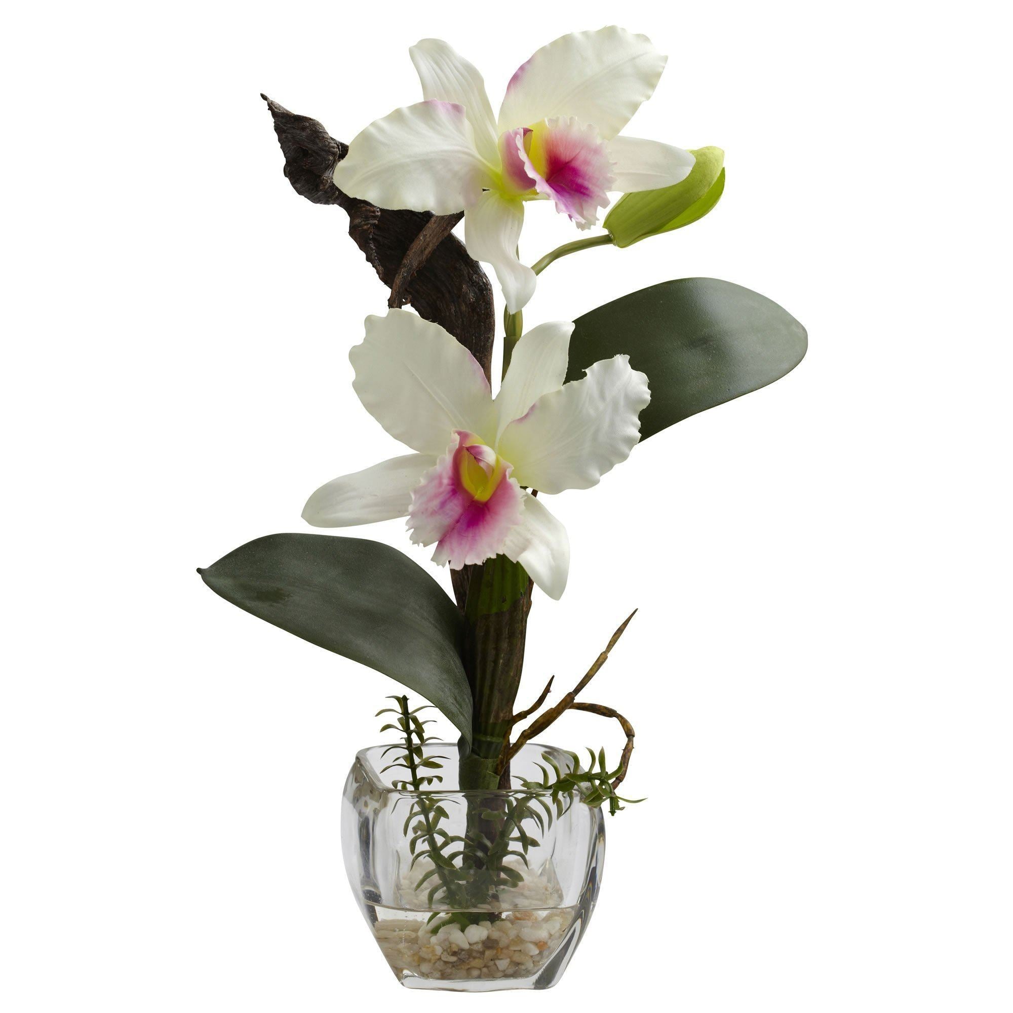 Mini Cattleya Orchid Arrangement (Set of 3) | Nearly Natural