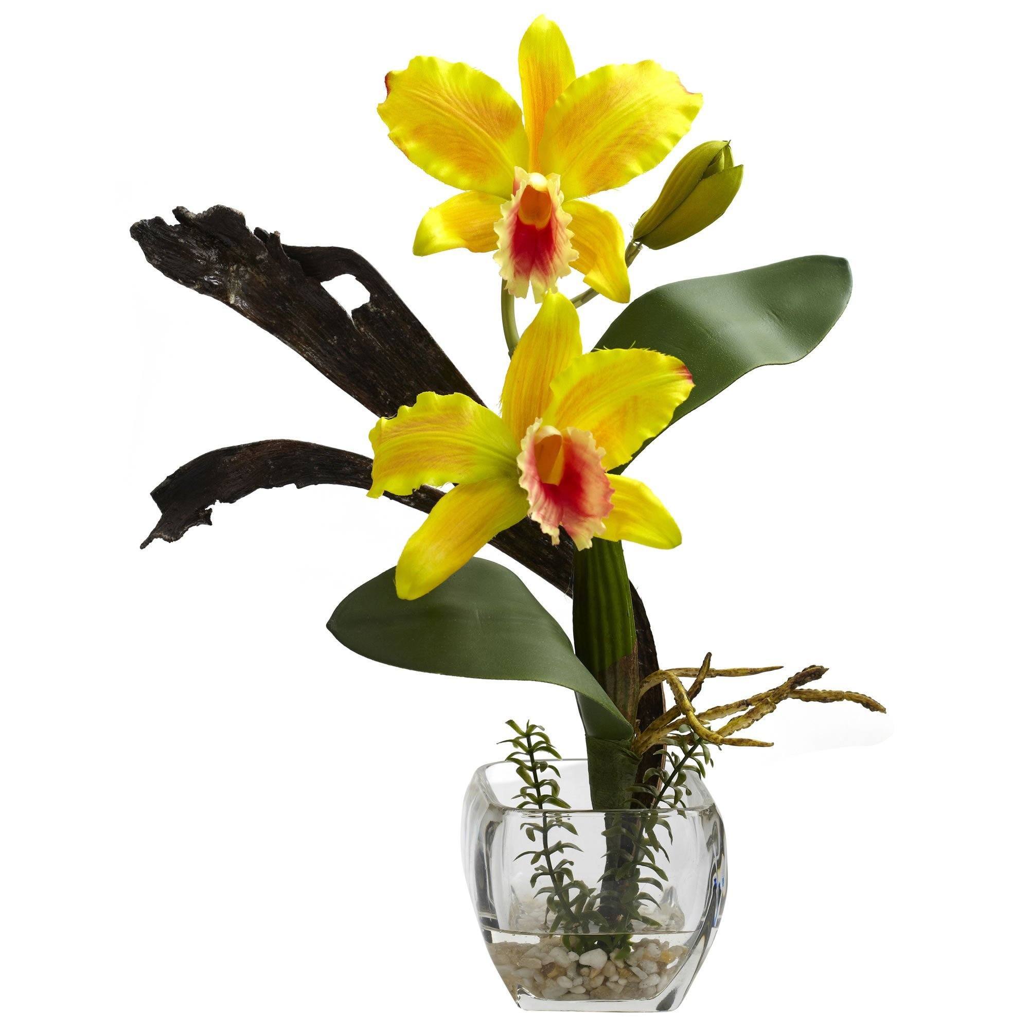 Mini Cattleya Orchid Arrangement (Set of 3) | Nearly Natural