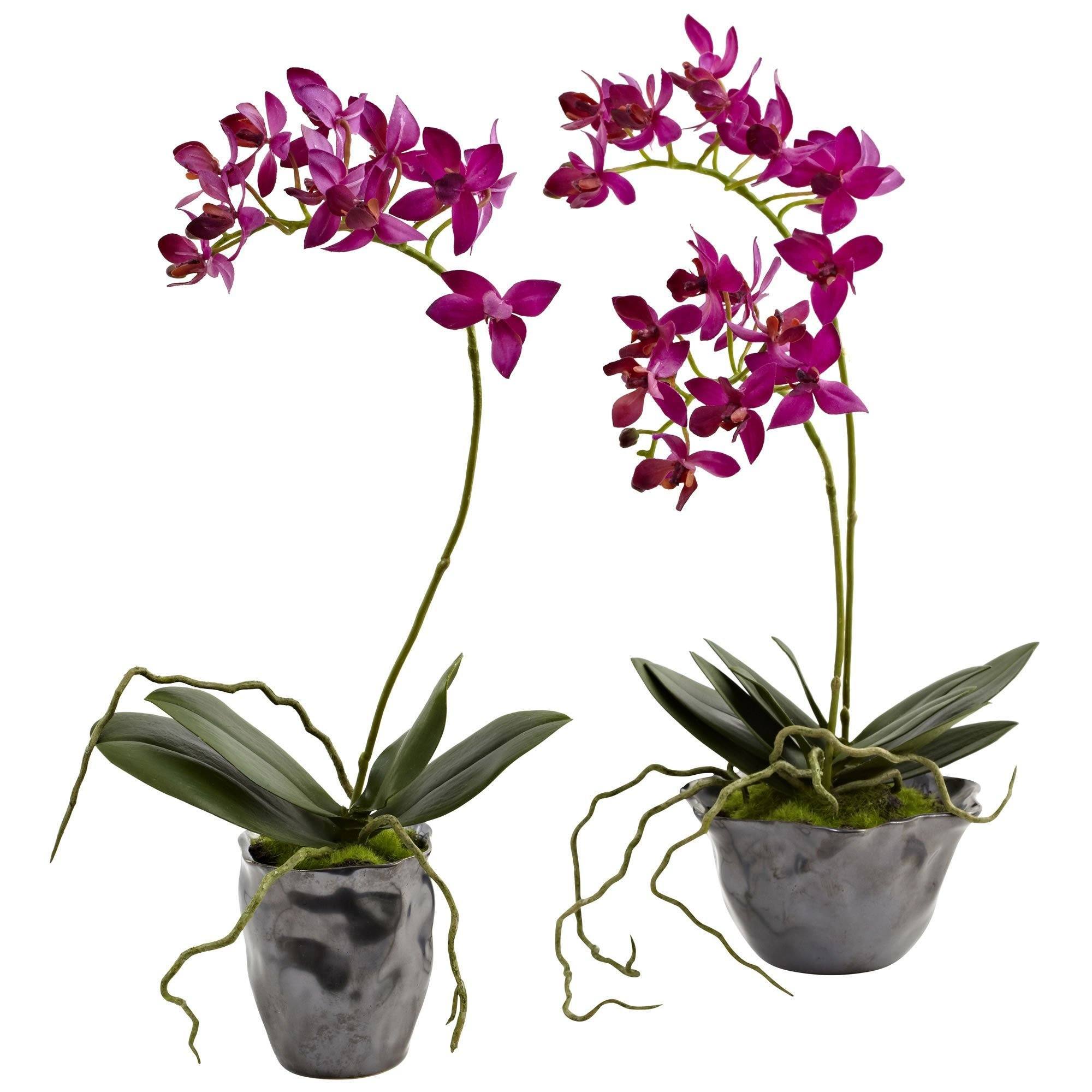 Mini Phal w/Metallic Vase (Set of 2) | Nearly Natural