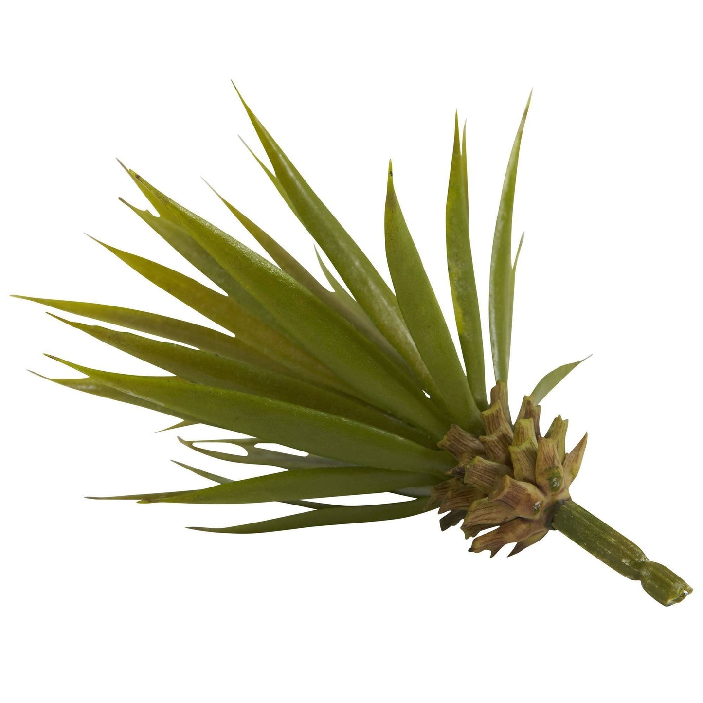 Mini Spiky Agave Succulent Plant (Set of 12) | Nearly Natural
