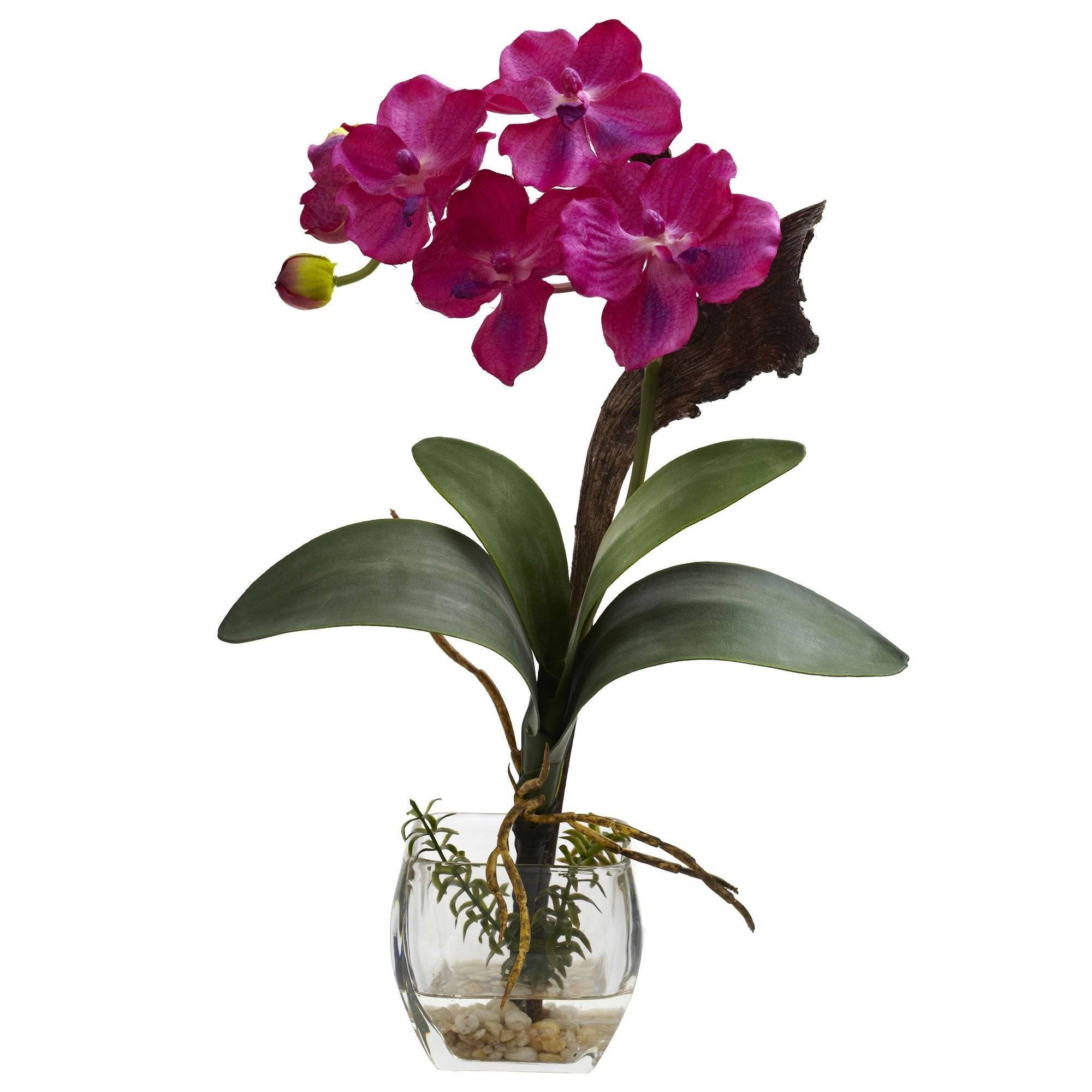 Mini Vanda Orchid Arrangement (Set of 3) | Nearly Natural