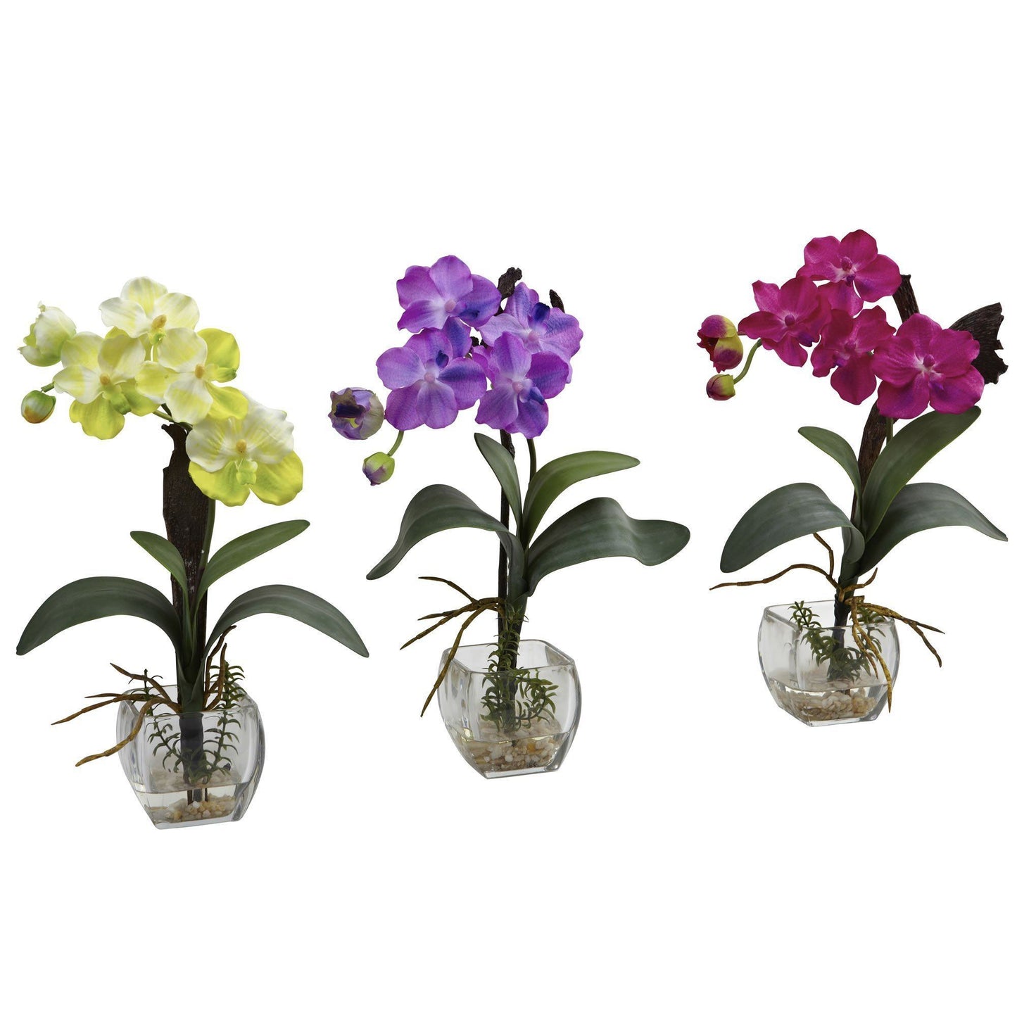 Mini Vanda Orchid Arrangement (Set of 3) | Nearly Natural