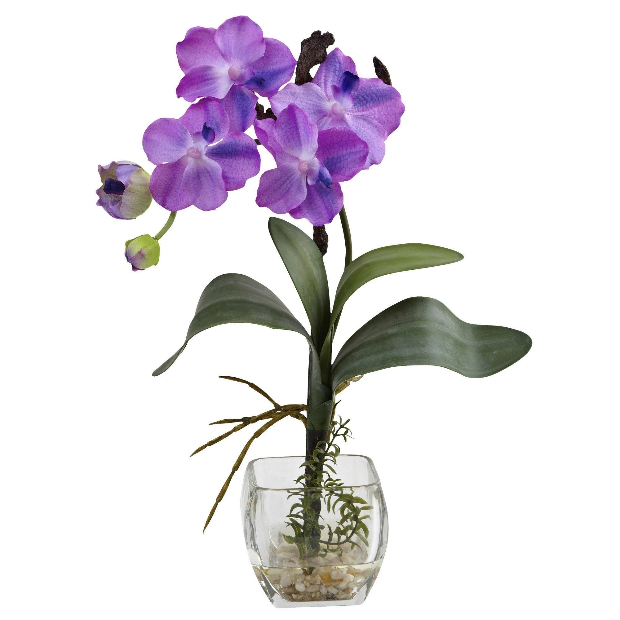Mini Vanda Orchid Arrangement (Set of 3) | Nearly Natural