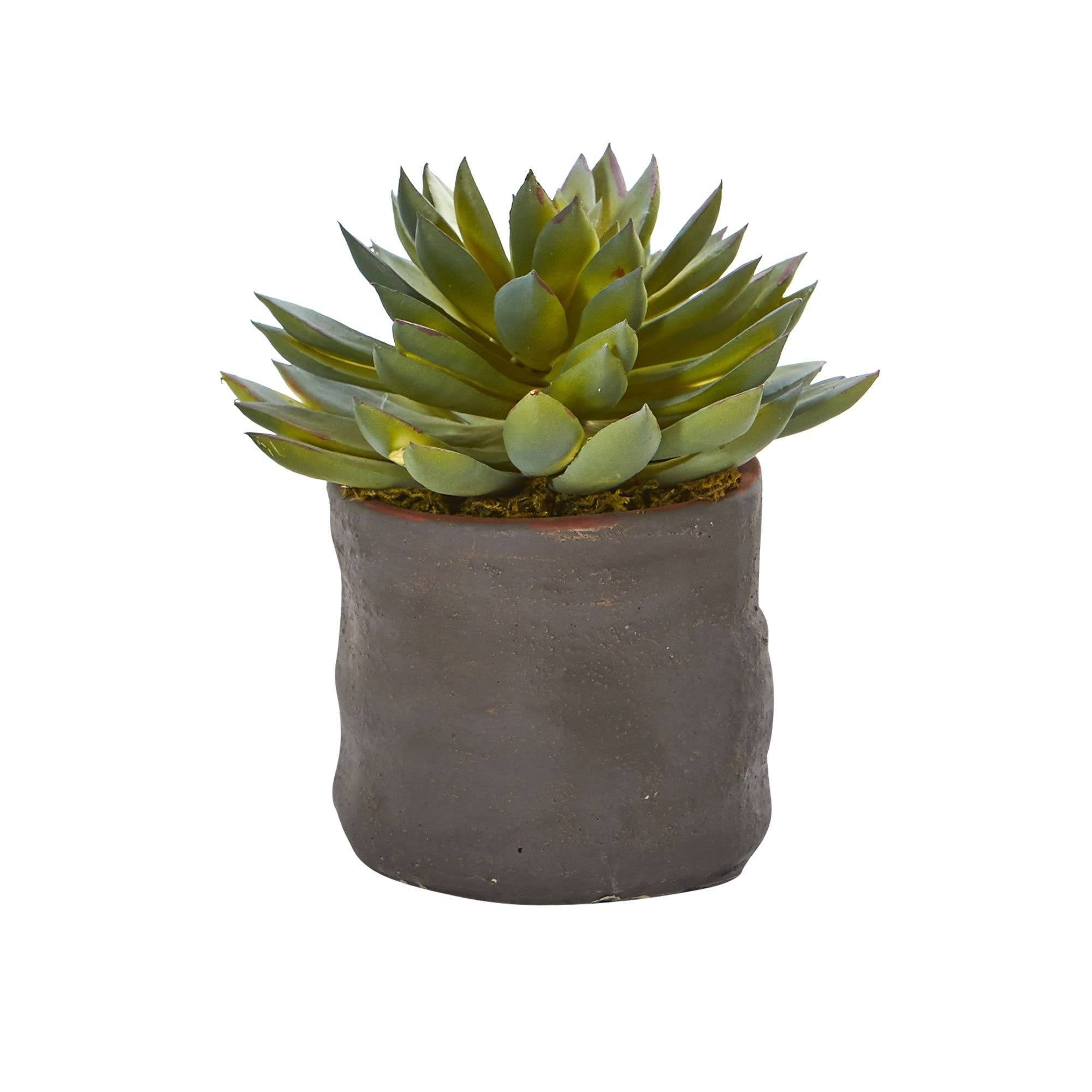 Mixed Succulent Trio Artificial Plant (Set of 3) | Nearly Natural
