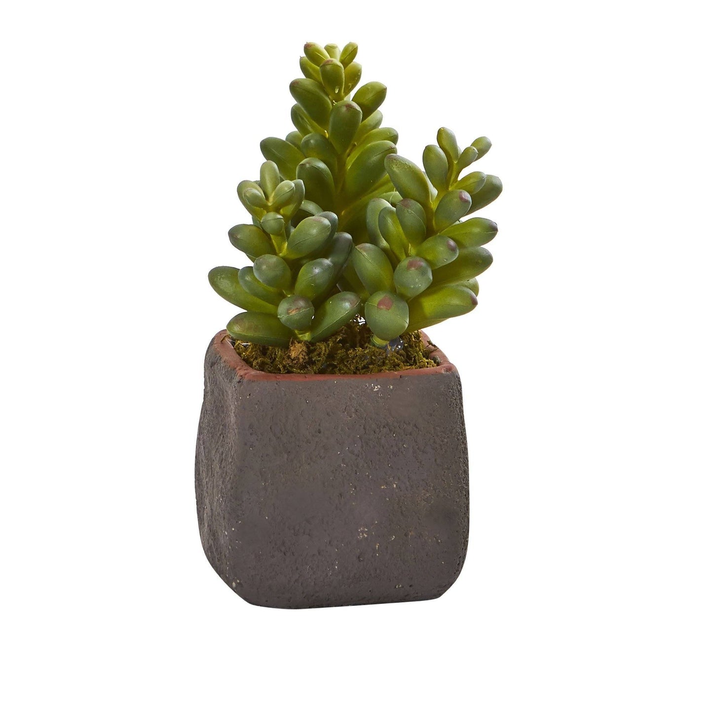 Mixed Succulent Trio Artificial Plant (Set of 3) | Nearly Natural