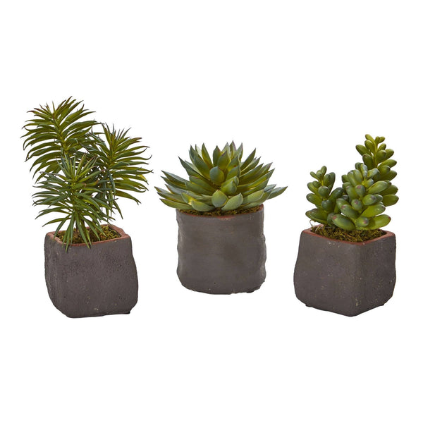 Mixed Succulent Trio Artificial Plant (Set of 3) | Nearly Natural