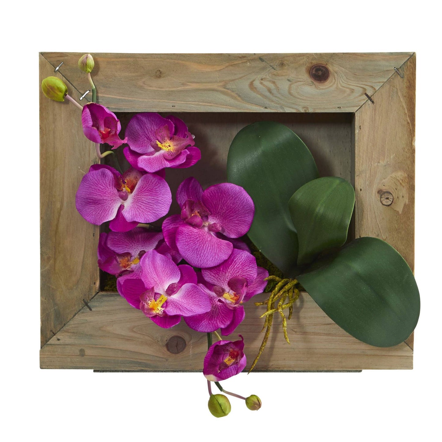 Phalaenopsis Orchid Artificial Arrangement in Wooden Picture Frame 1494 ...