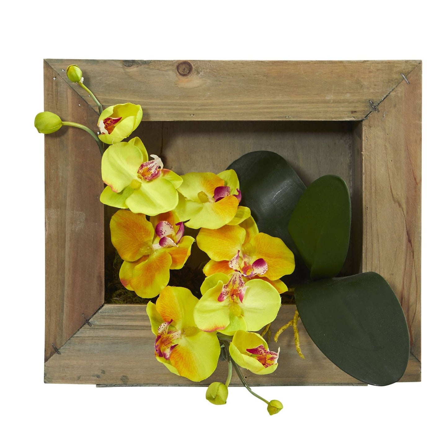 Phalaenopsis Orchid Artificial Arrangement in Wooden Picture Frame 1494 ...
