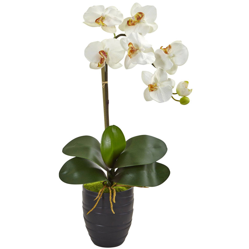 Artificial Orchids | Nearly Natural