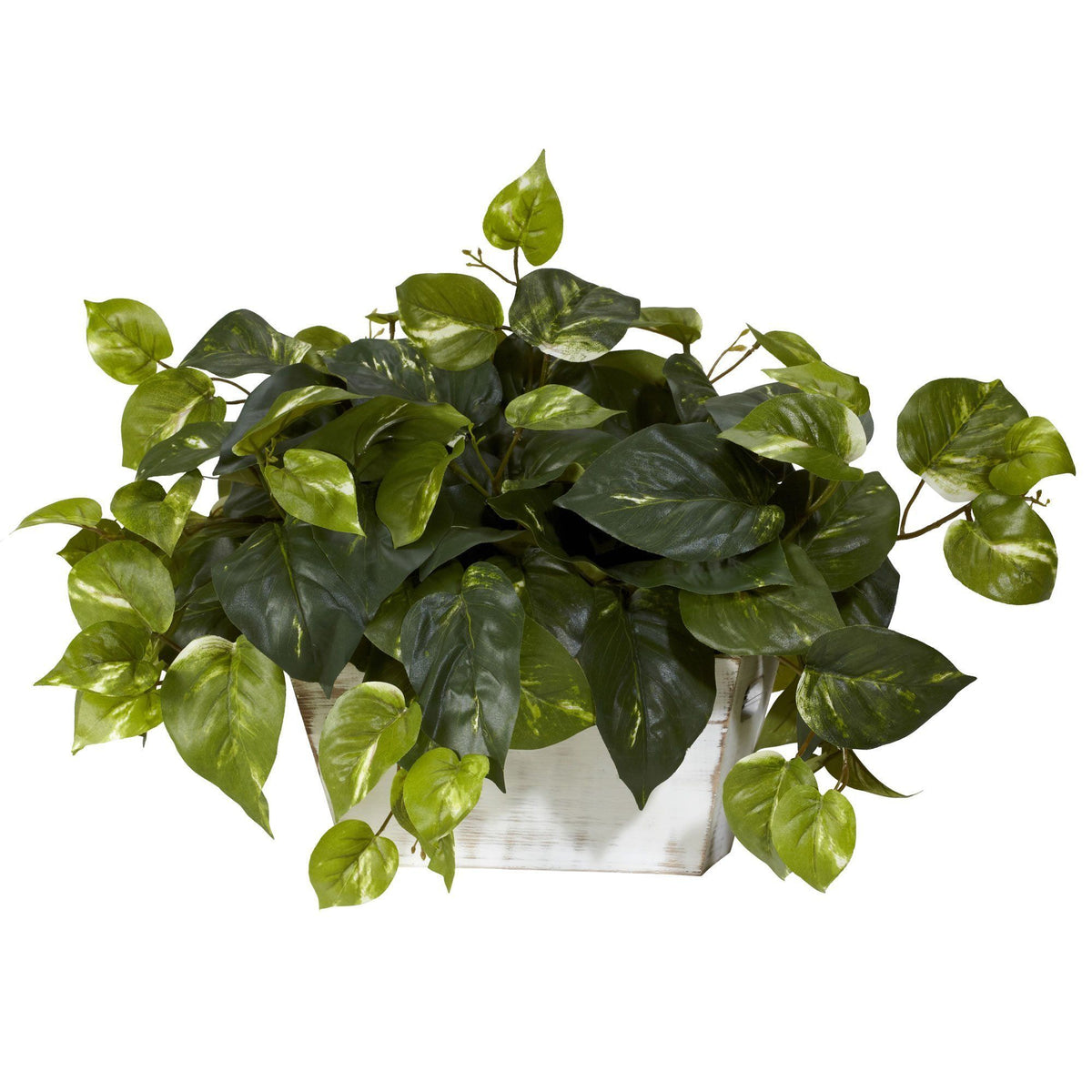 Silk Pothos Plant | Artificial Pothos Plant – Nearly Natural