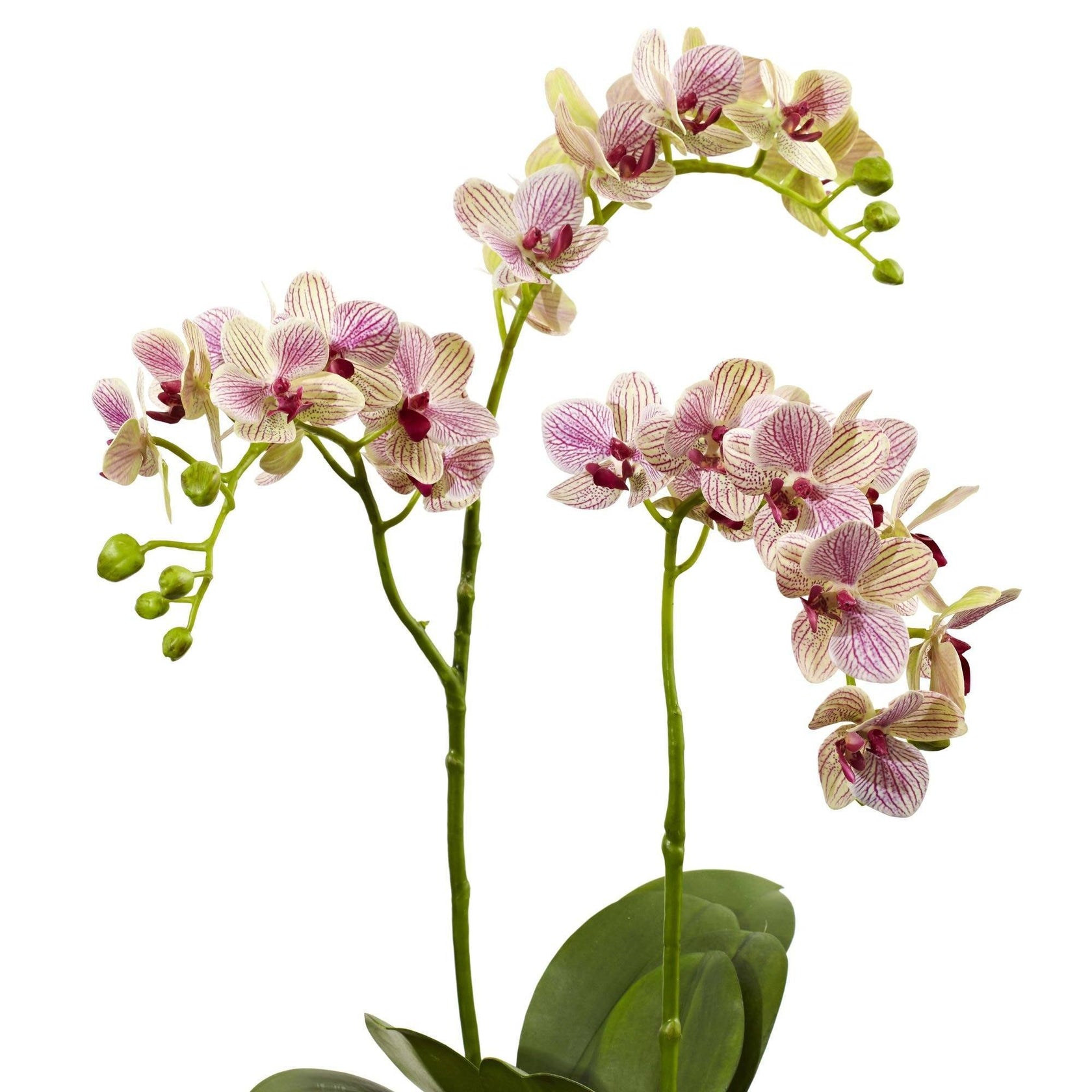 Raspberry Orchid Elegance Arrangement | Nearly Natural
