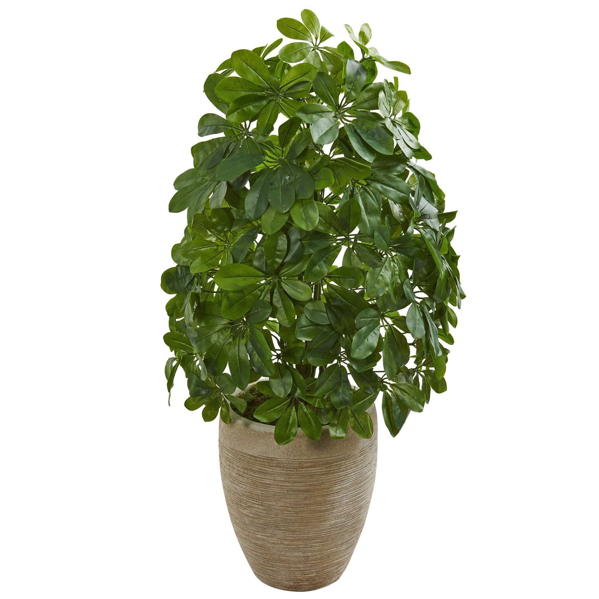 Schefflera Artificial Plant in Sand Colored Planter (Real Touch ...