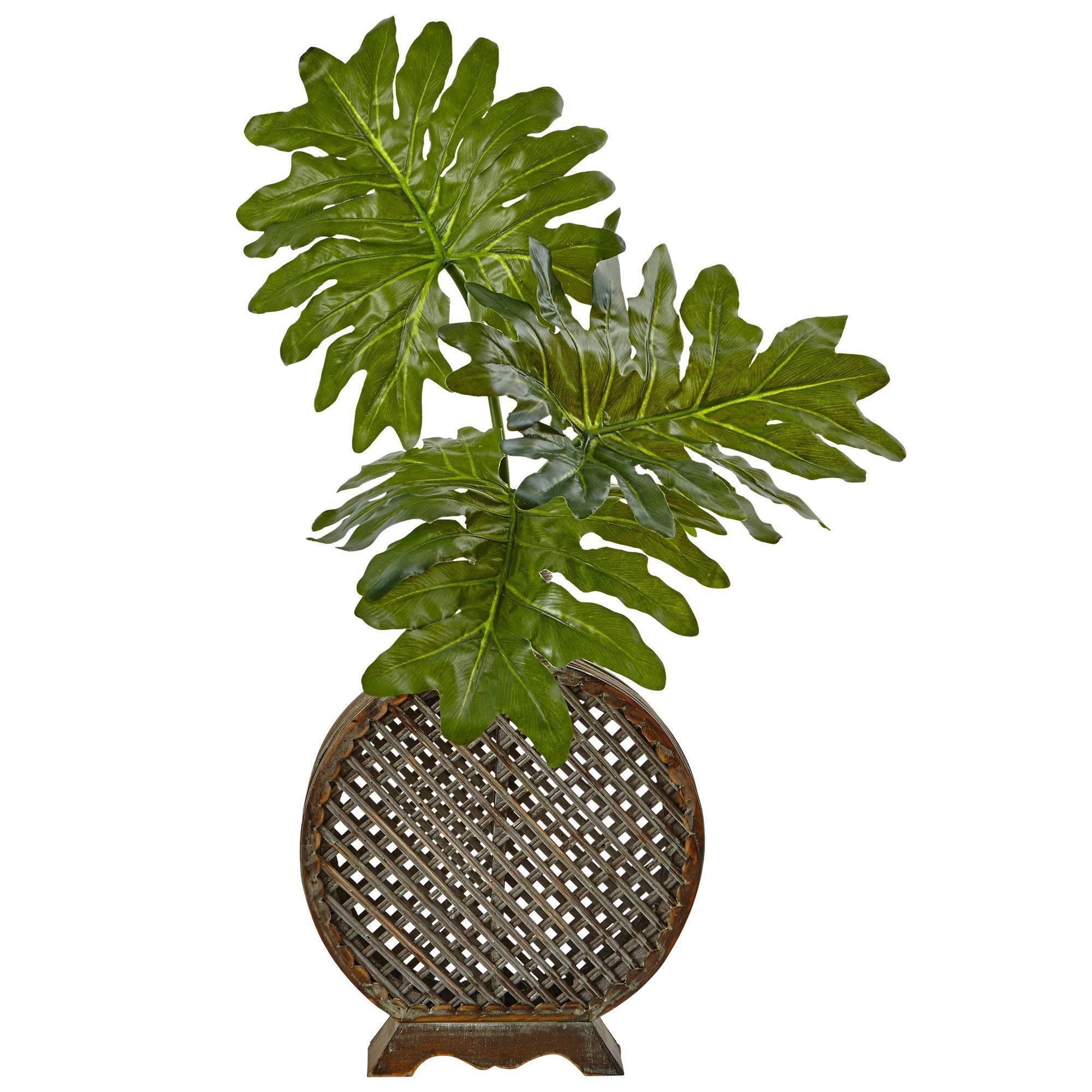 Selloum in Open Weave Vase | Nearly Natural