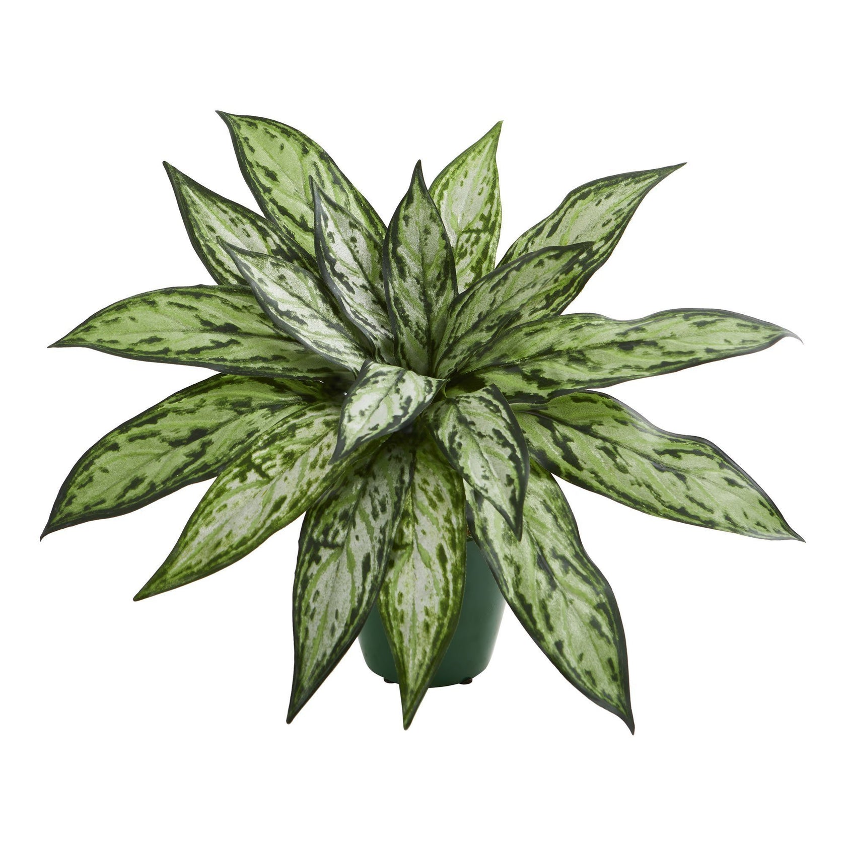 Silver Queen Artificial Plant in Green Planter (Set of 2) | Nearly Natural