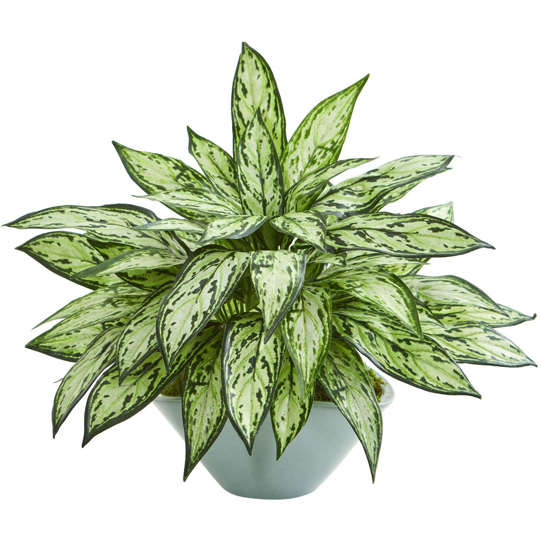 Silver Queen Artificial Plant in Green Vase | Nearly Natural