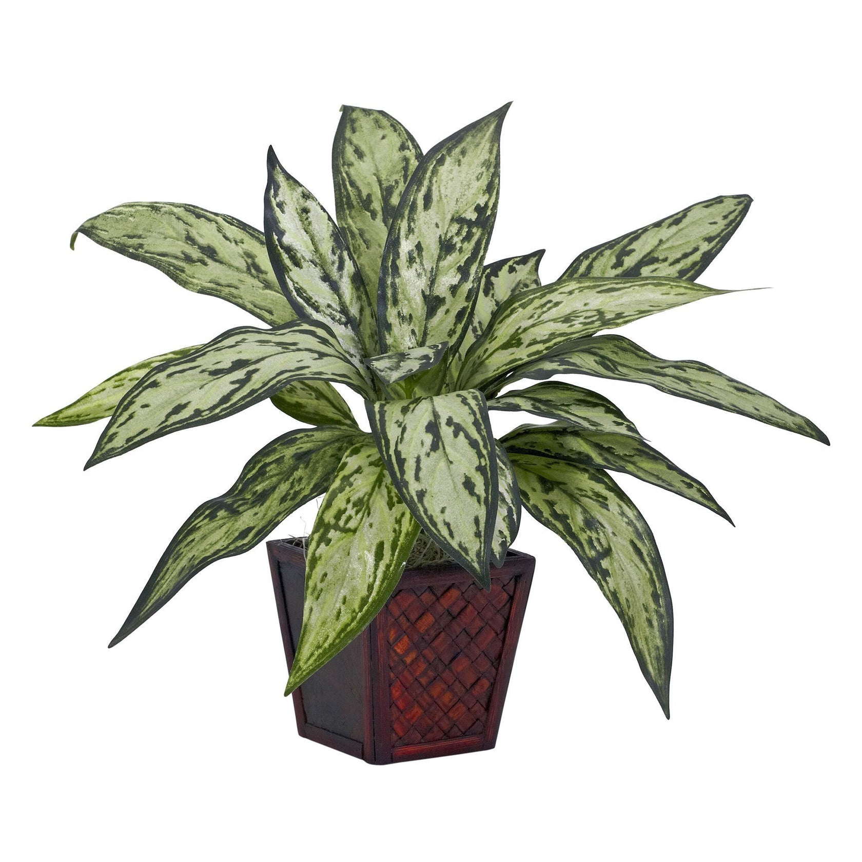 Silver Queen Silk Plant (Set of 2) | Nearly Natural