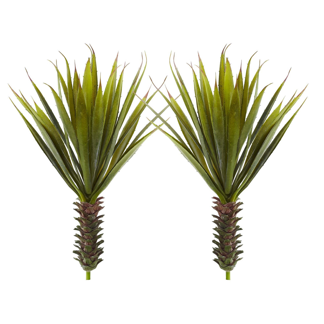 Spiky Agave Succulent Plant (Set of 2) | Nearly Natural