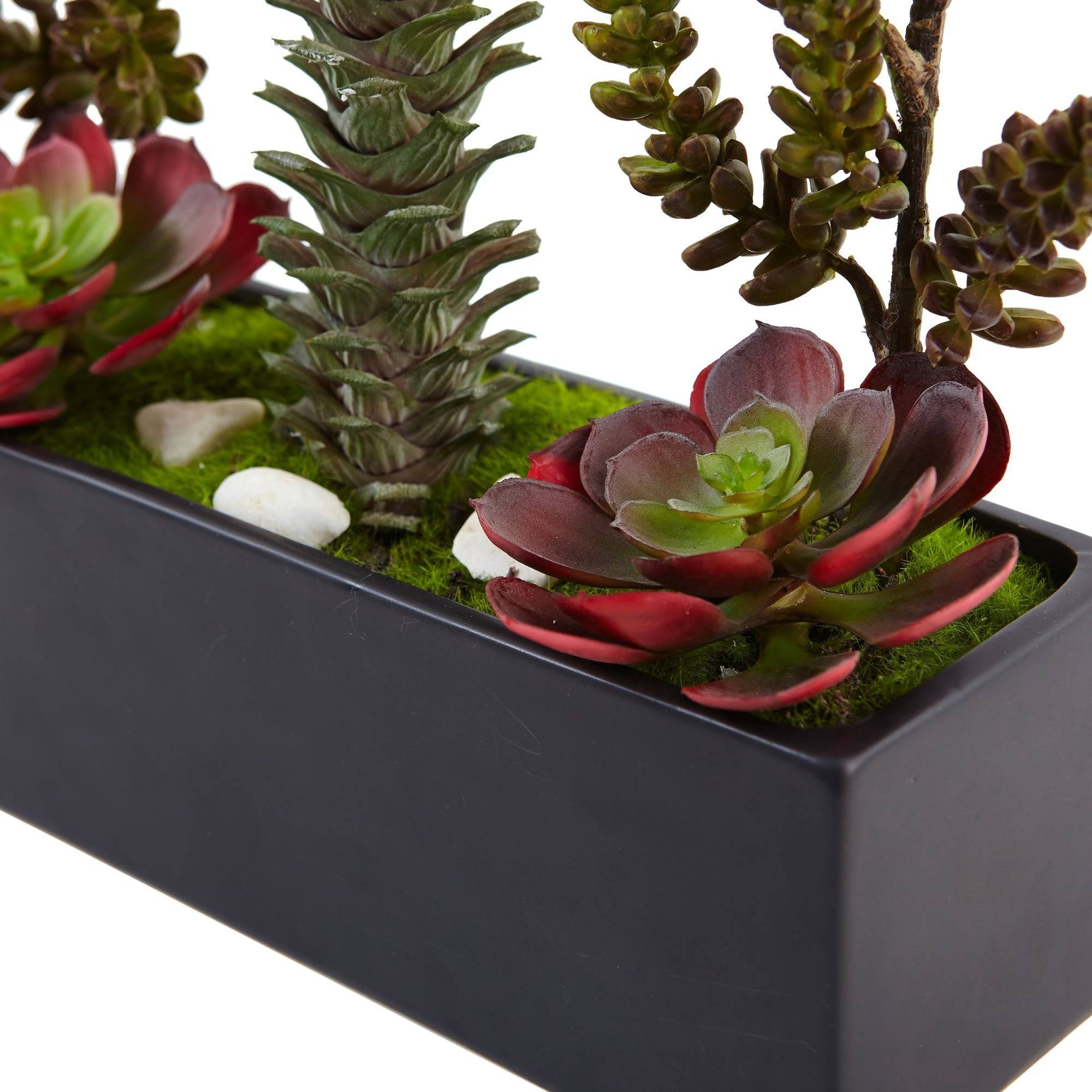 Succulent Garden in Rectangular Planter | Nearly Natural