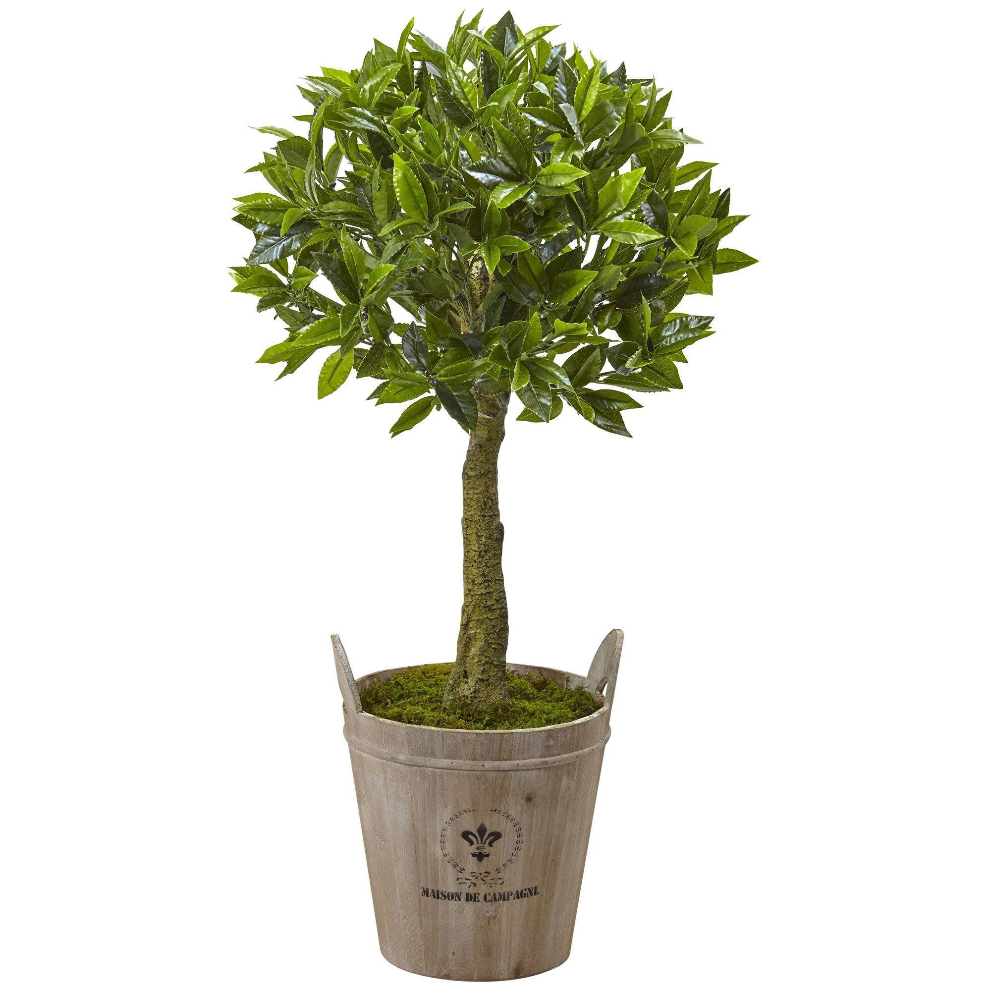 Sweet Bay Topiary with Farmhouse Planter | Nearly Natural