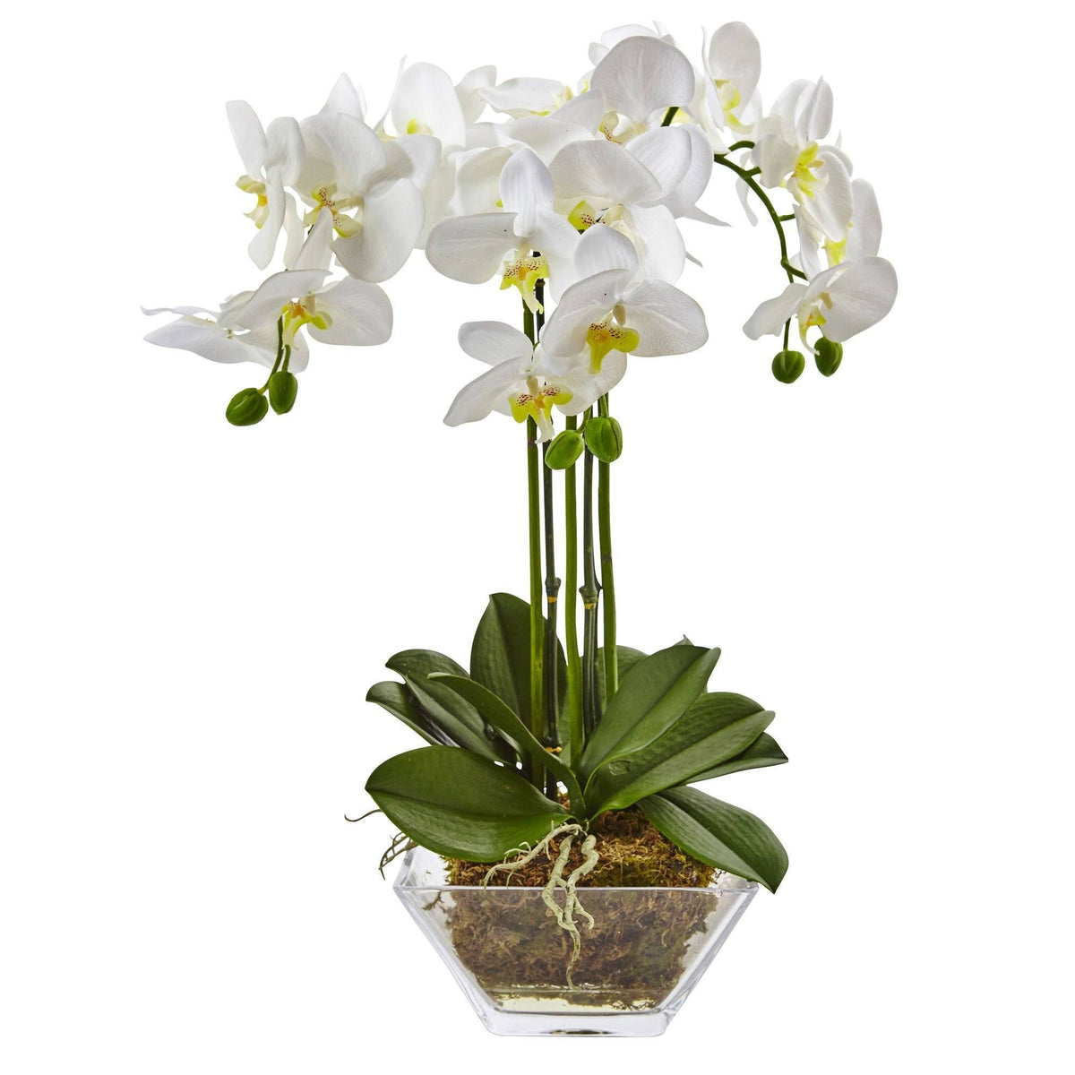 Fake Orchid Plant | Nearly Natural