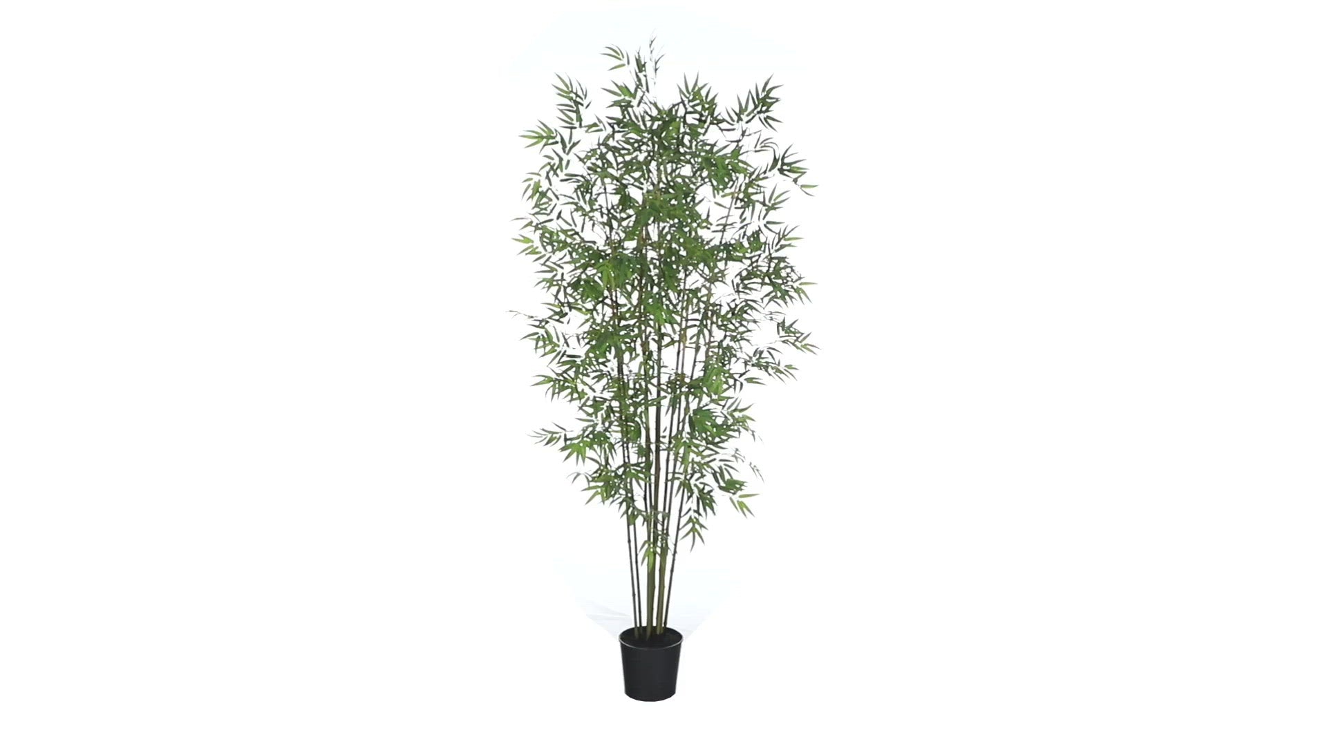 6' Mini Bamboo Silk Tree | Nearly Natural